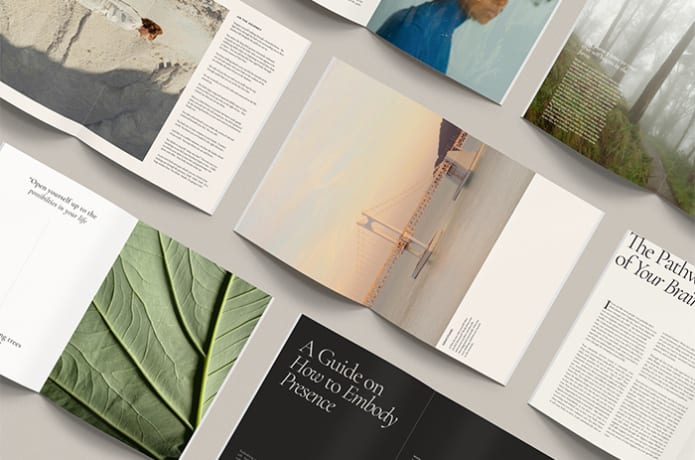 Indwell: An 8-Step Mental Health Guide | Indiegogo