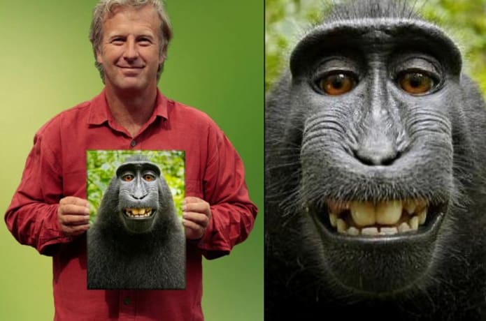 Help David Slater AKA 'Monkey Selfie' photographer | Indiegogo