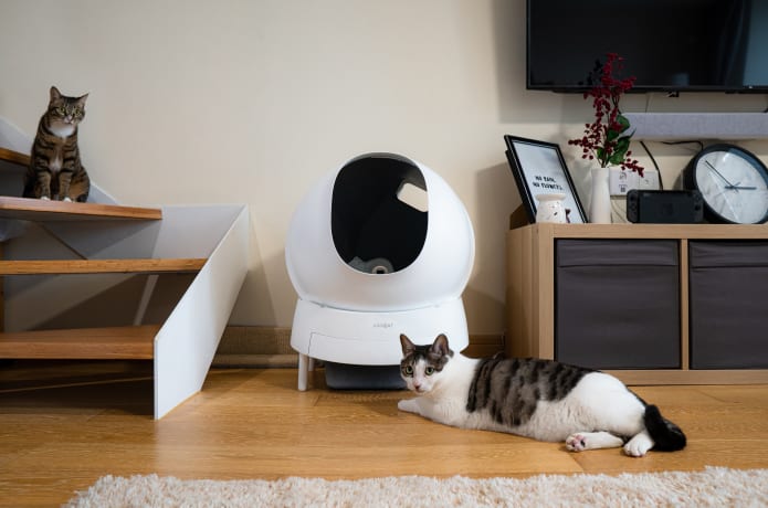 Aimicat The Best Automatic Cat Litter Box Indiegogo