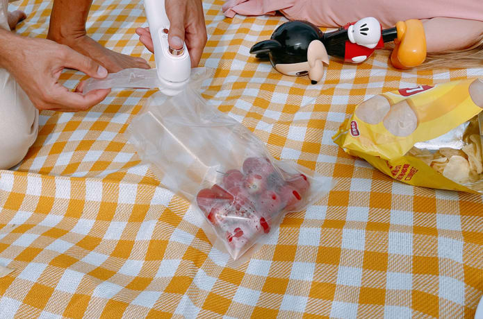 Desiwind l Mini 3-in-1 Vacuum Sealer & Bag Cutter | Indiegogo