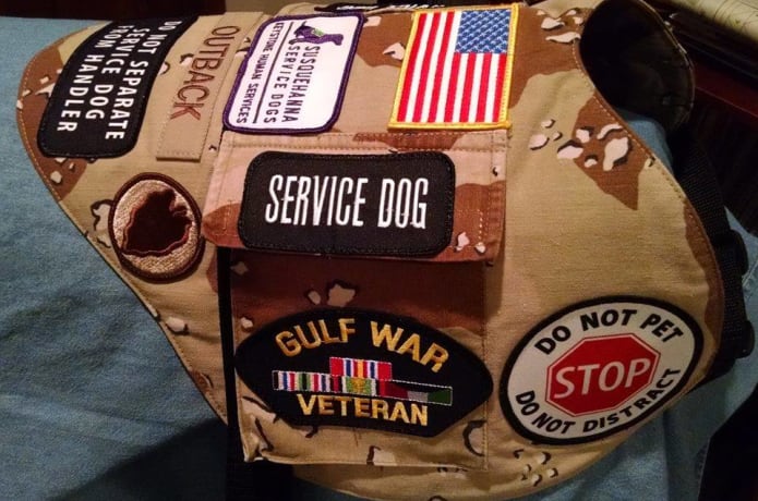 Dog Vests 4 Vets | Indiegogo