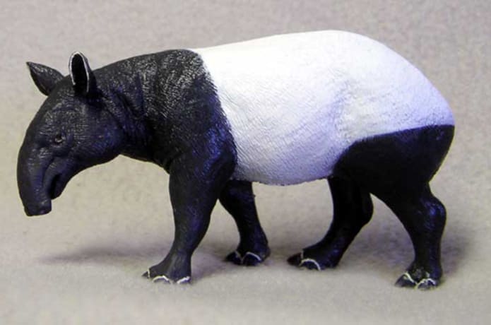 Save the Tapir Preservation Fund | Indiegogo