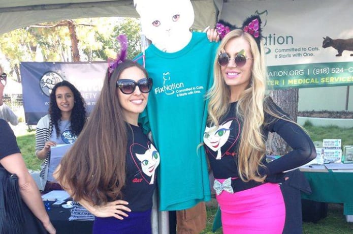 The Cat Club Rescue Center | Indiegogo