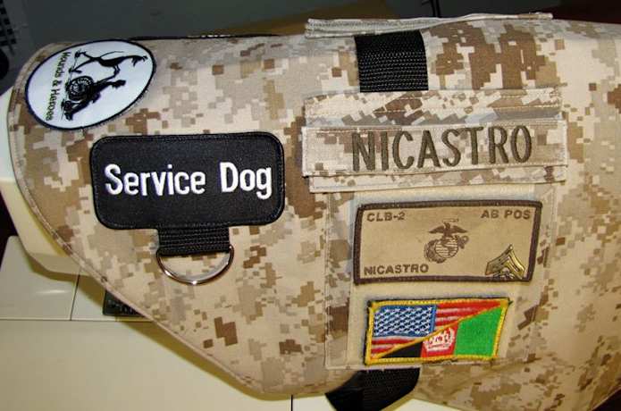 Dog Vests 4 Vets | Indiegogo
