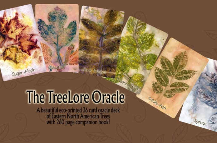 TreeLore Oracle Deck and Book by Dana O'Driscoll | Indiegogo