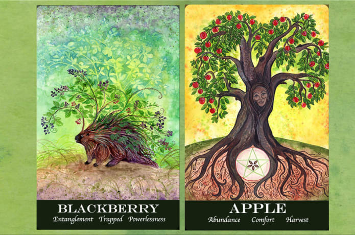 The Plant Spirit Oracle -Original 50 Card Deck | Indiegogo