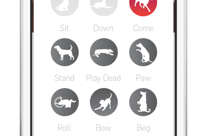 Pet-Remote - Control your dog with your iPhone | Indiegogo