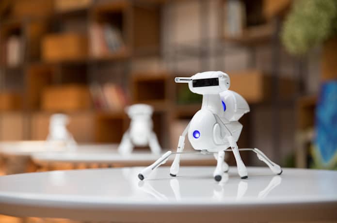 Antbo: An Insect Robot Anyone Can Build | Indiegogo