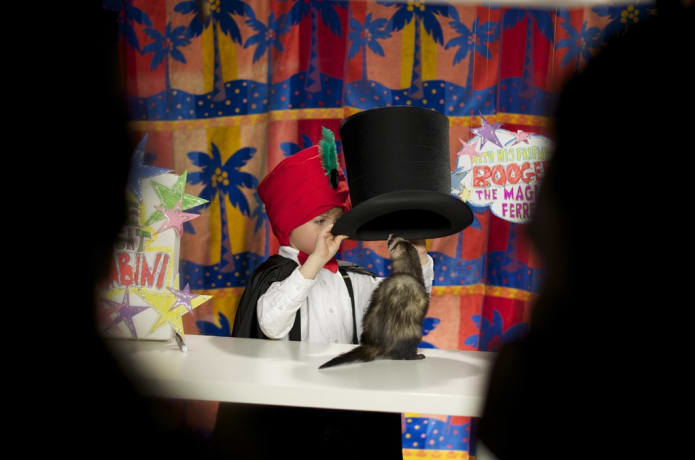 The Magic Ferret | Indiegogo