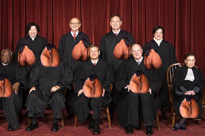 Scrote'n'Tote: The Satchel of Life | Indiegogo