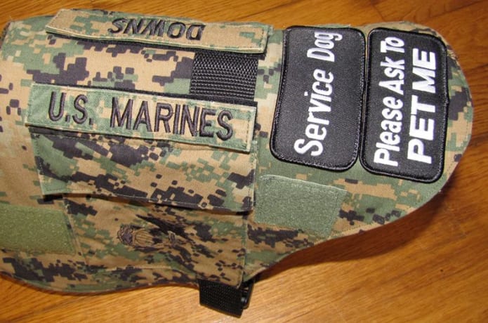 Dog Vests 4 Vets | Indiegogo