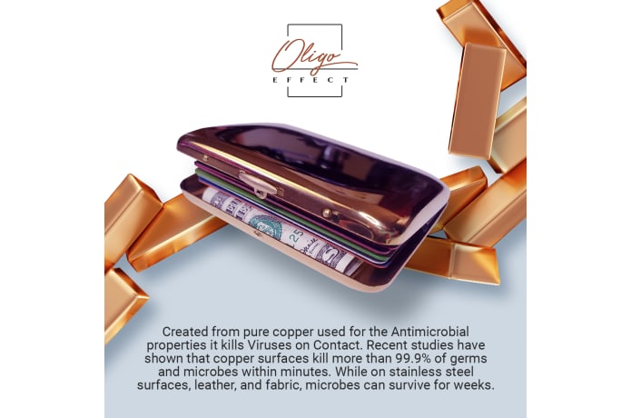 COPPER CLEAN WALLET | Indiegogo