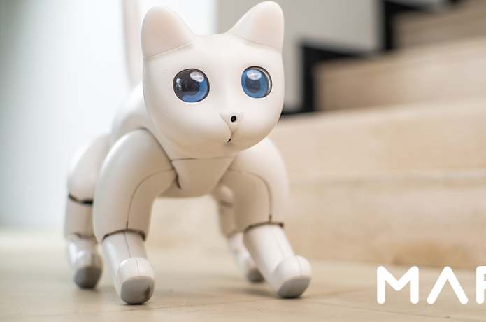 MarsCat: A Bionic Cat, a Home Robot | Indiegogo