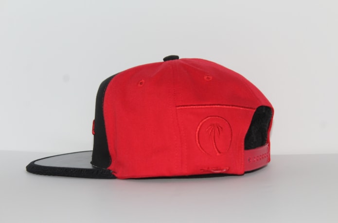 The SOLSOL Revolution Is Here! | Indiegogo