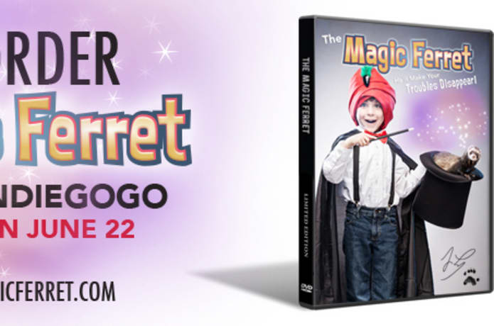 The Magic Ferret | Indiegogo