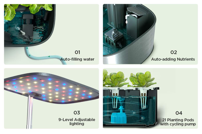 LetPot LPH-Max: 4-in-1 Automated Hydroponic System | Indiegogo