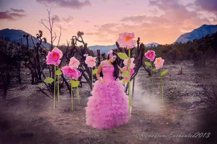 Enchanted Photography: Calendars & More | Indiegogo