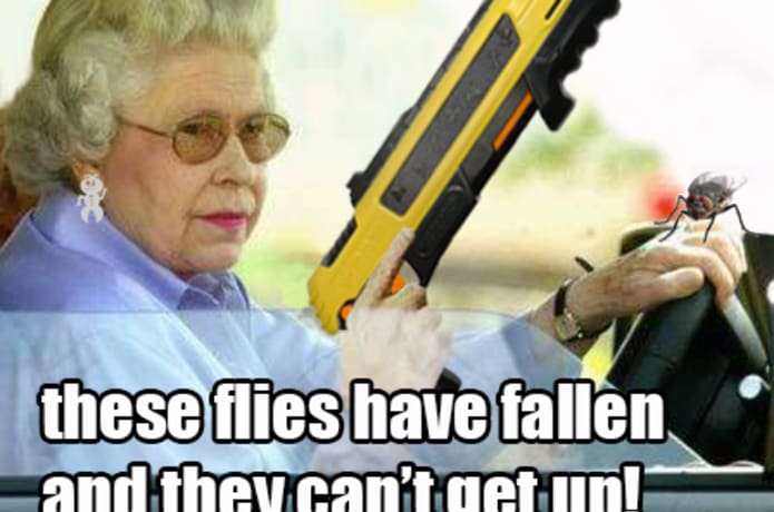 Bug-A-Salt Introduces Camofly 2.0 | Indiegogo