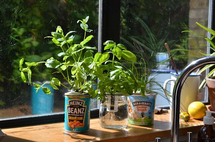 Mini : Grow fresh food anywhere | Indiegogo