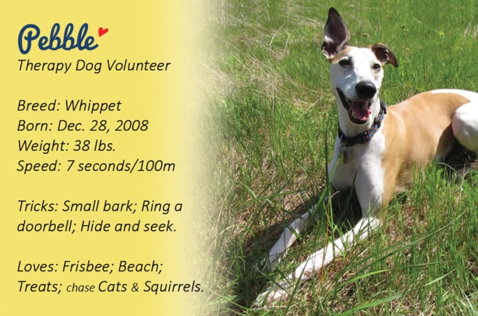 Pebble Smart Doggie Doorbell | Indiegogo