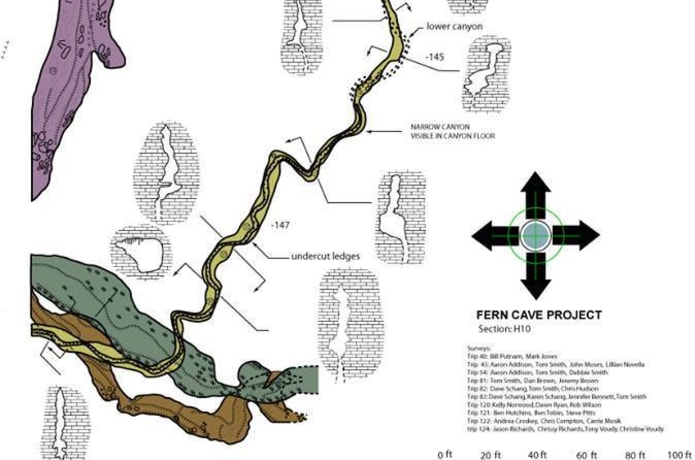 Fern Cave: The Discovery, Exploration, and History of Alabama's ...