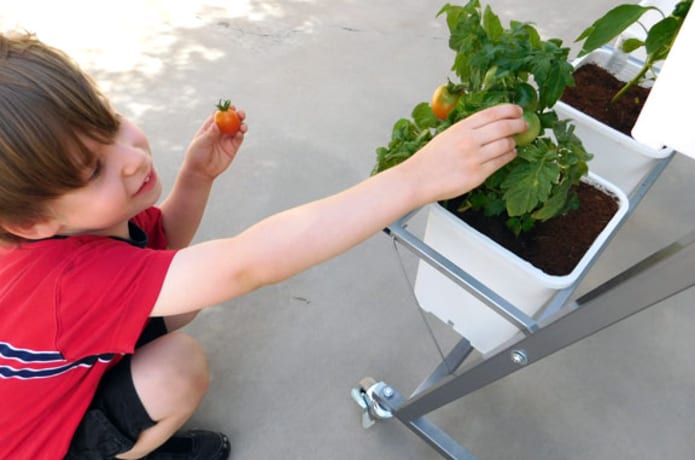 Mobile Garden System | Indiegogo