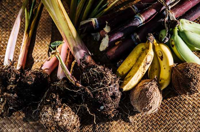 Native Hawaiian Regenerative Farming Revolution! | Indiegogo