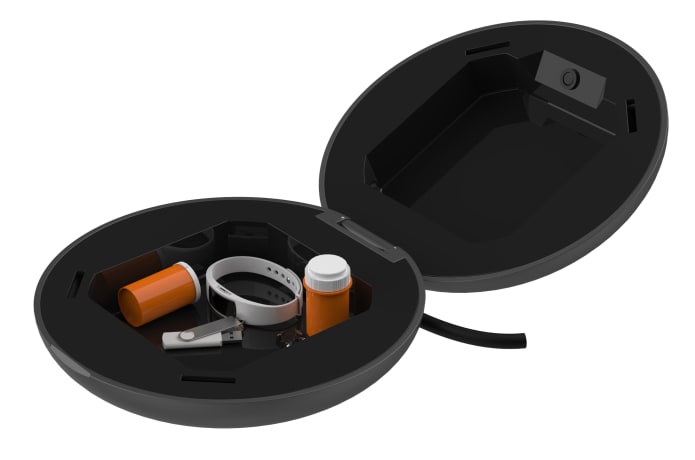 SafeLyfe Alpha: The Smart, Secure & Portable Safe | Indiegogo