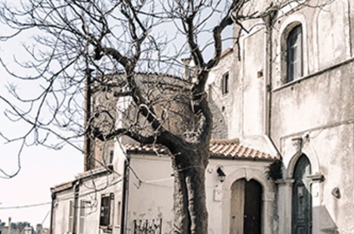 Mukanda Festival | Indiegogo