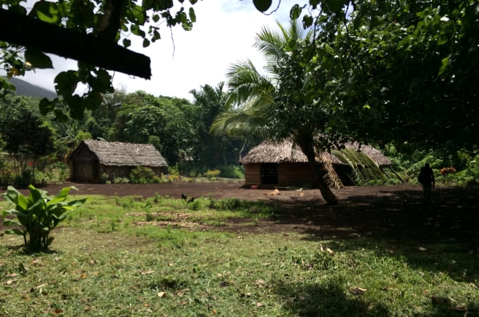 Vanuatu Erromango Sandalwood Farmers Association | Indiegogo