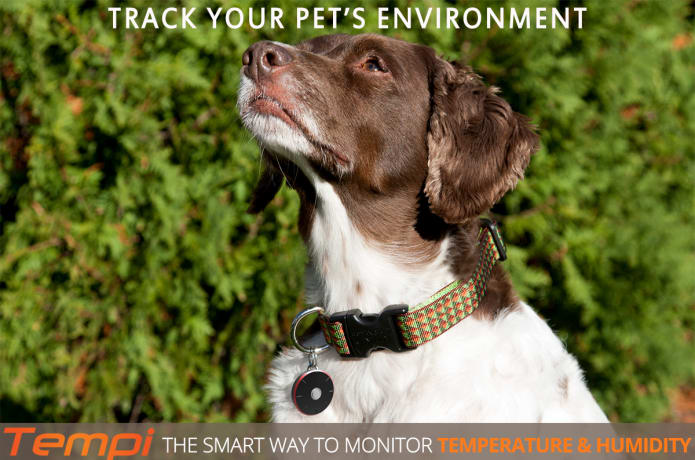 Tempi - Smart Temperature and Humidity Monitoring | Indiegogo