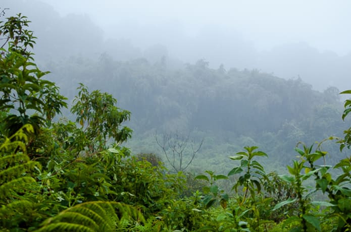 Five Days in Rwanda - Photography Book | Indiegogo