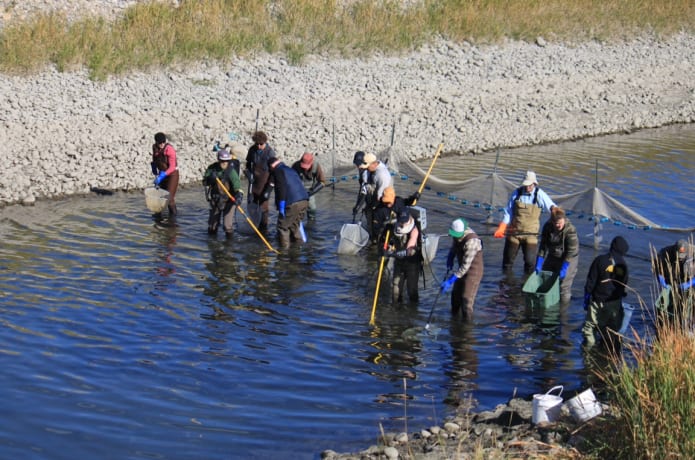 Fish Rescue! | Indiegogo