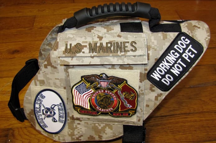 Dog Vests 4 Vets | Indiegogo