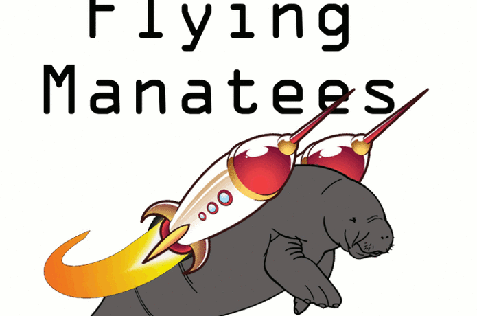 Help the Flying Manatees get to the International Lego Robotics ...
