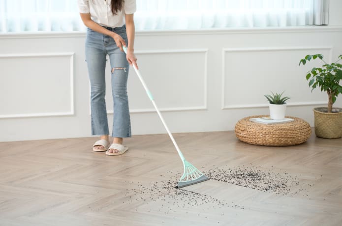 BROOMBI: Smart Broom with Quadruple Cleaning Power | Indiegogo