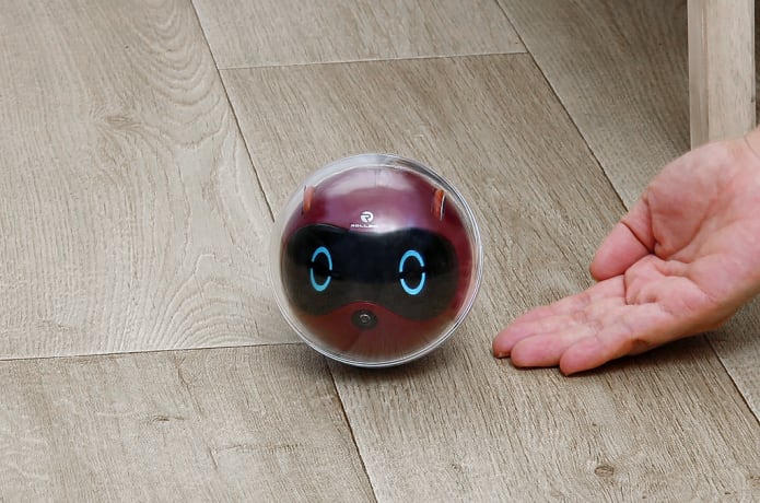 Rollbot - An Intelligent Rolling Robot | Indiegogo