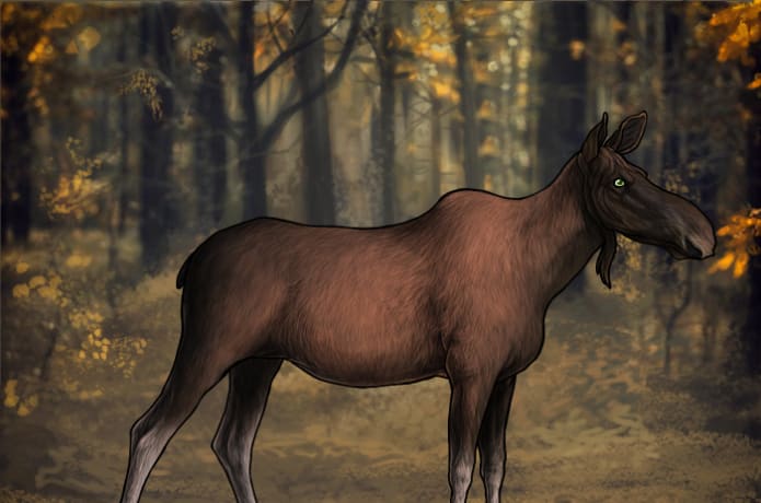 Deearly.com - A Breeding Sim | Indiegogo