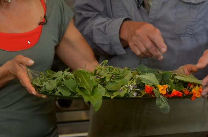 Man Eating Plants - The Movie | Indiegogo