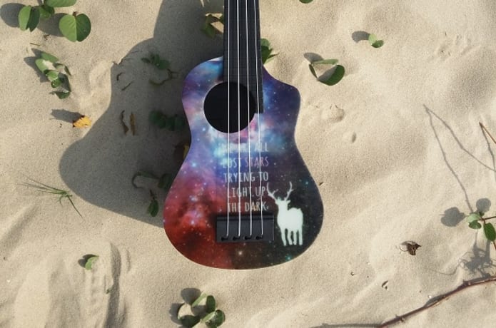 BugsGear Plastic concert size ukulele | Indiegogo
