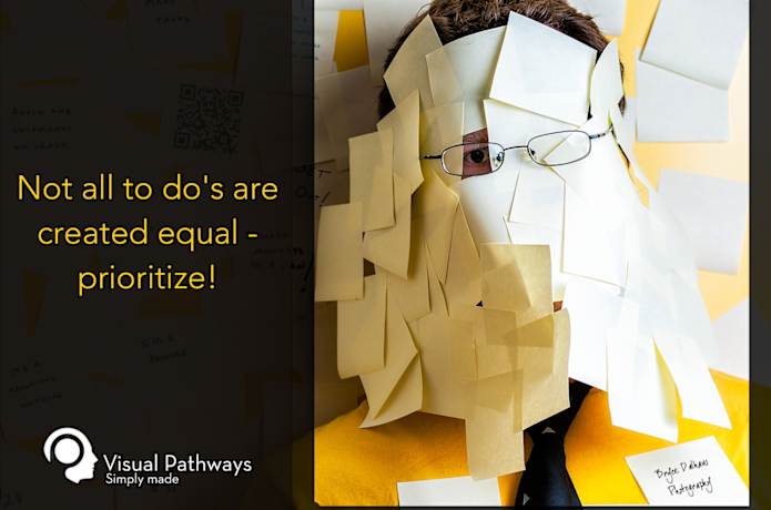 Visual Pathways - The Book | Indiegogo