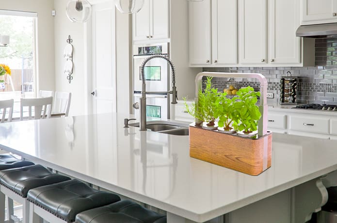 Nature Box: Smart, Simple, Renewable Indoor Garden | Indiegogo