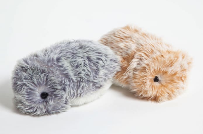 Moflin - An AI Pet with Emotional Capabilities | Indiegogo