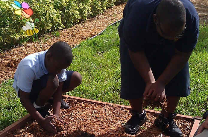 Norcrest Elementary Sensory Garden | Indiegogo