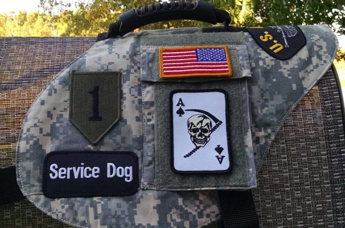 Dog Vests 4 Vets | Indiegogo