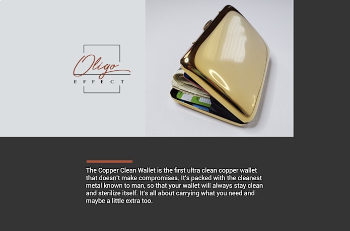 COPPER CLEAN WALLET | Indiegogo