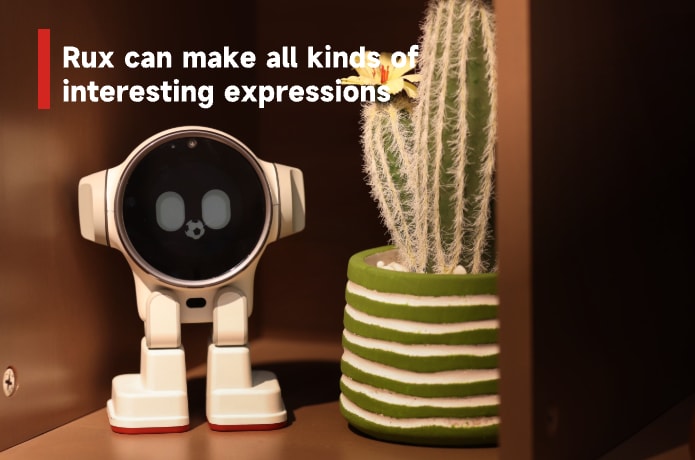 Rux Robot: Fun and Practical Desktop AI Robot | Indiegogo