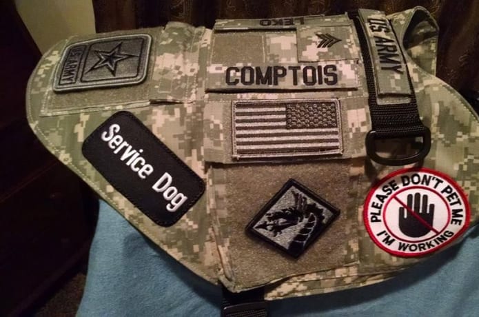 Dog Vests 4 Vets | Indiegogo