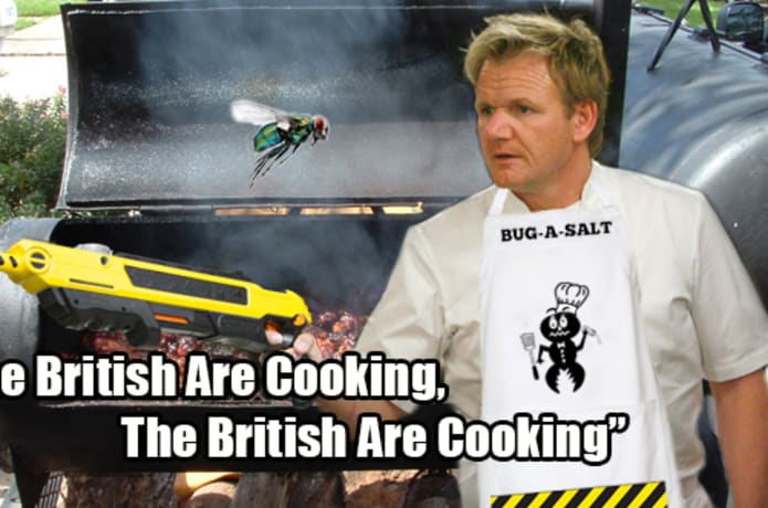 Bug-A-Salt Introduces Camofly 2.0 | Indiegogo