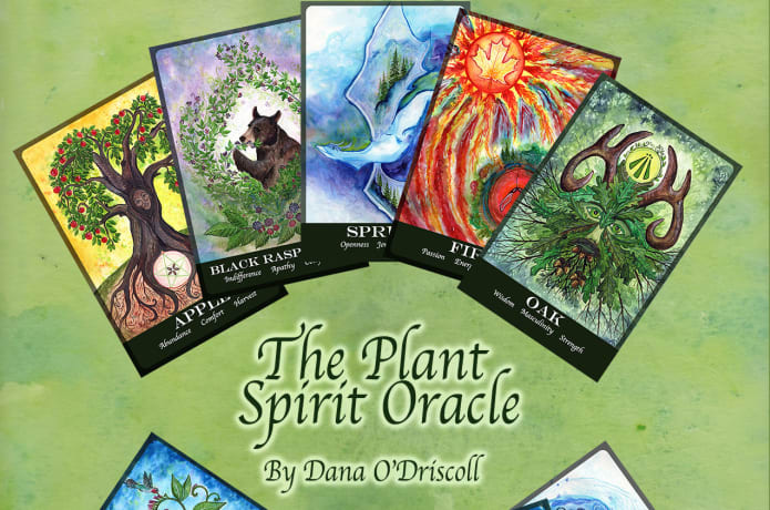 The Plant Spirit Oracle -Original 50 Card Deck | Indiegogo